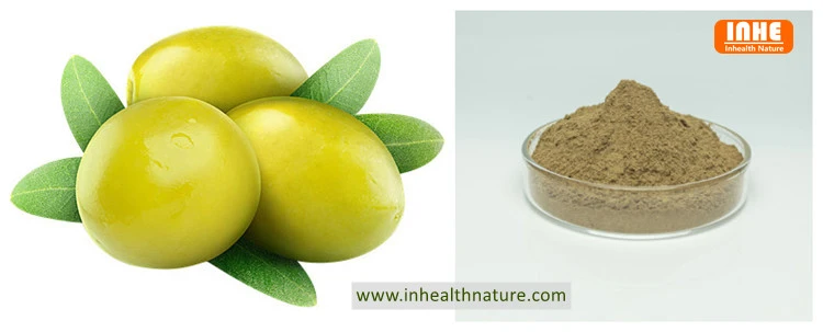 China Good Price Hydroxytyrosol Powder Manufacturers Suppliers Factory ...
